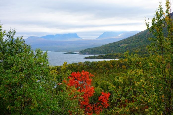 Nordkalottleden: Ervaar de oneindige rust en ruimte in Lapland ...