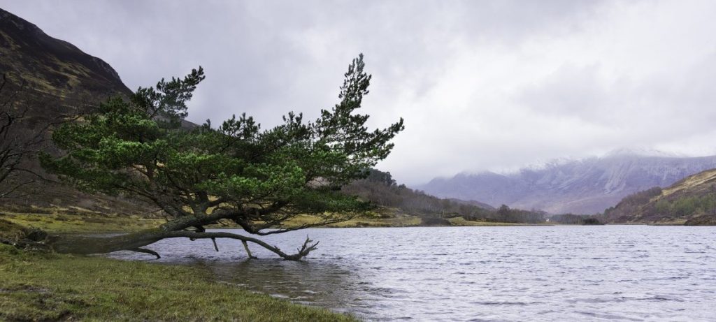 Wandelen langs de steile kliffen van Torridon in Schotland ...