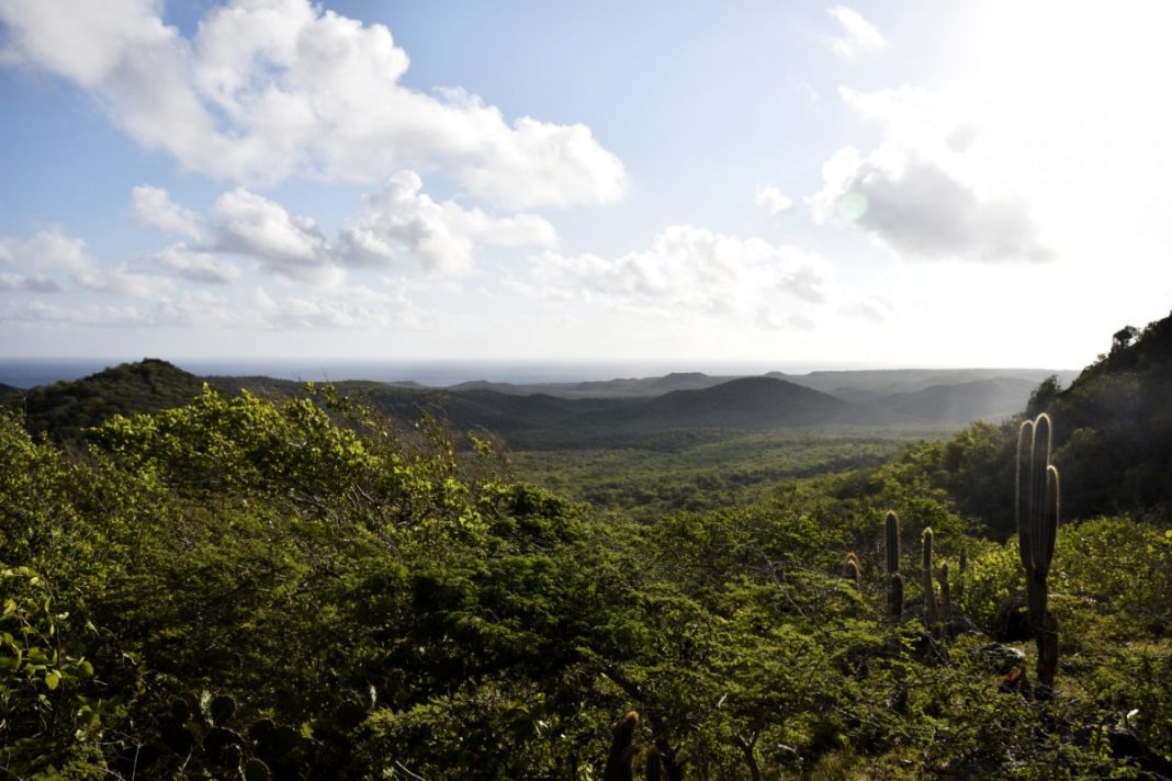 Naar de top van de Christoffelberg van Curaçao - Mountainreporters