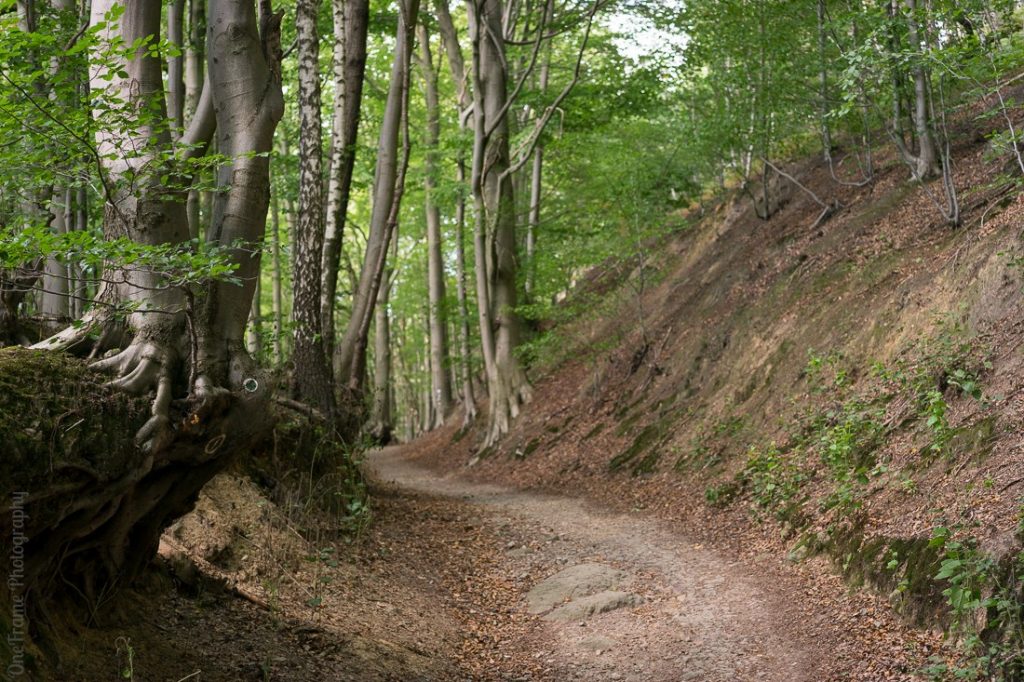 Wandelpad Hermannsweg, net over de grens in Duitsland - Mountainreporters