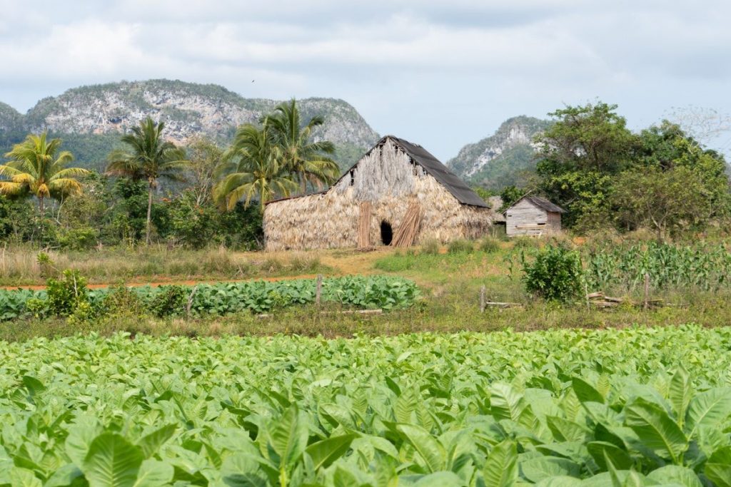 De fietsavonturier verkent Cuba, een land van contrasten ...