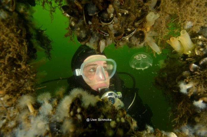 Waarom elke watersporter een keer naar Zeeland moet - Mountainreporters