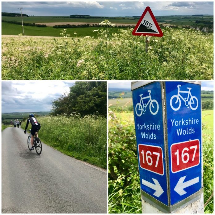 Ontdek de prachtige Engelse Yorkshire Wolds - Mountainreporters