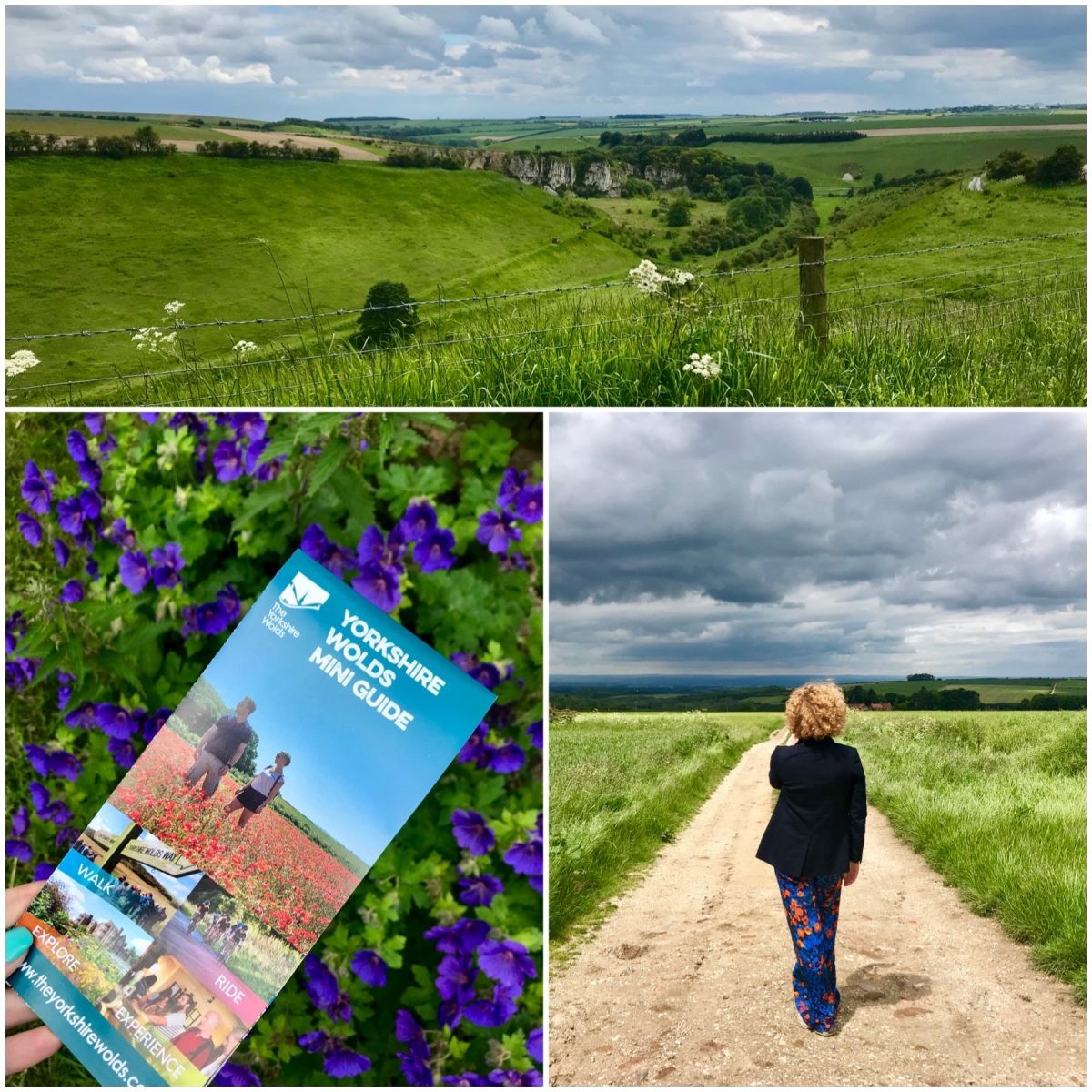 Ontdek de prachtige Engelse Yorkshire Wolds - Mountainreporters