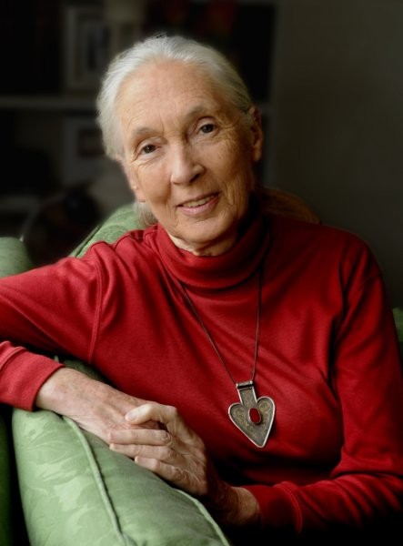 Ga naar deze unieke bijeenkomst met Jane Goodall in Den Bosch ...