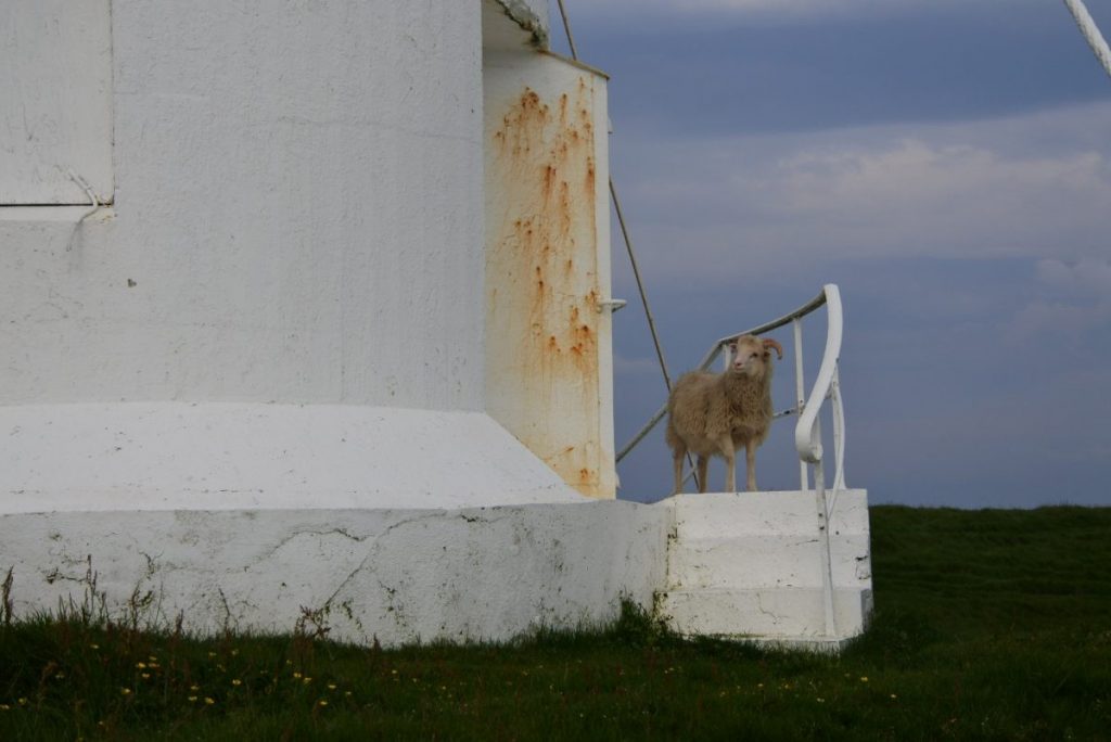Bezienswaardigheden en de mooiste wandelingen op de Faeröer Eilanden ...
