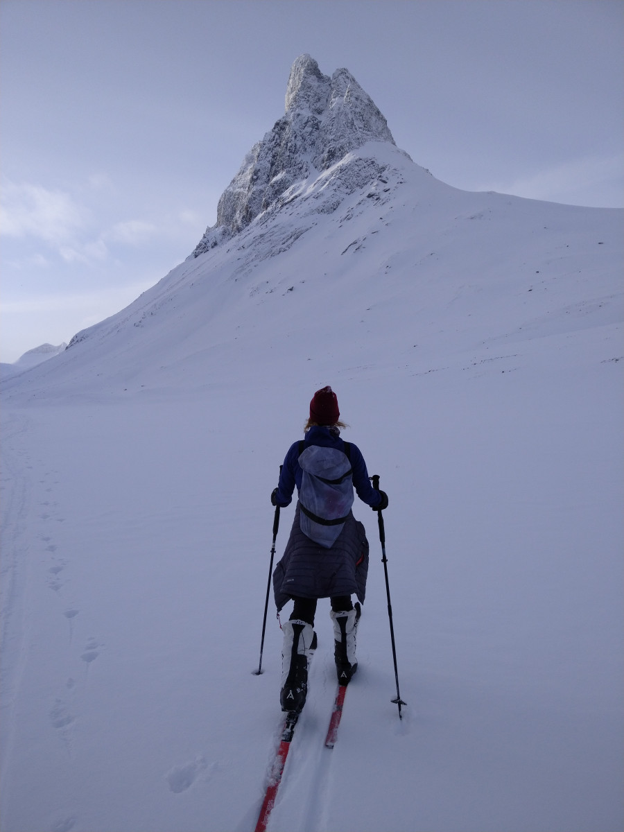 Tamar's Update uit het ruige Zweeds Lapland - Mountainreporters